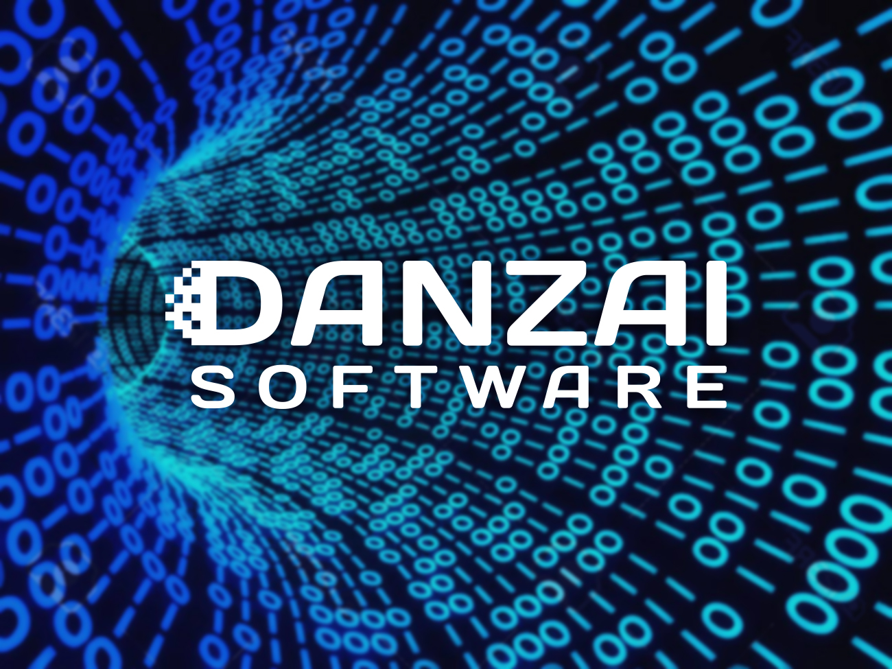 Company - Danzai Software team - Danzai Software